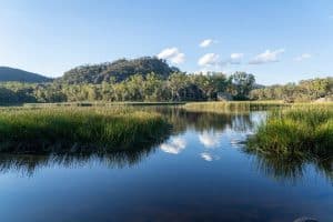 Ganguddy Dunns Swamp; incredibly magic camping - 4WDing Australia