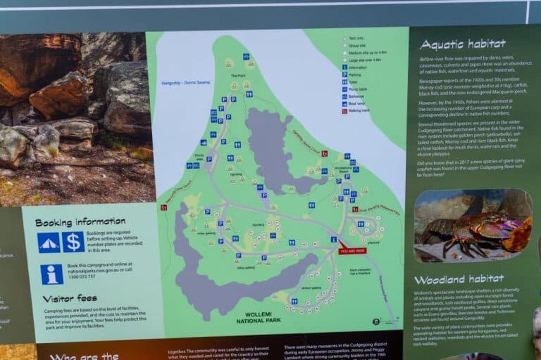 Ganguddy Dunns Swamp; incredibly magic camping - 4WDing Australia