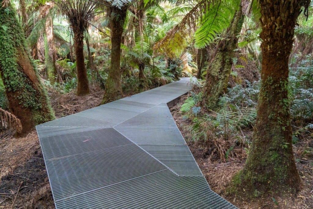 Maits Rest Rainforest Walk; break on the Great Ocean Road