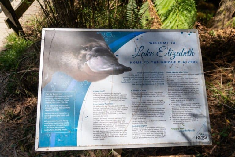 Lake Elizabeth Campground; magic camping with a big reputation