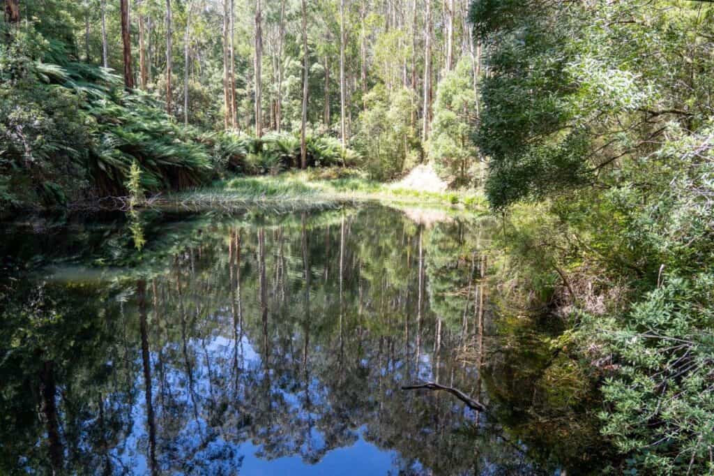 Lake Elizabeth Campground; magic camping with a big reputation