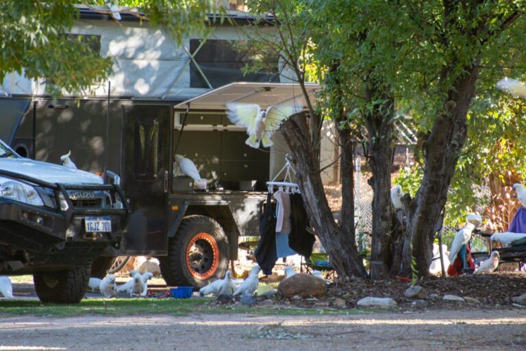 Halls Gap Lakeside Tourist Park; our favourite so far