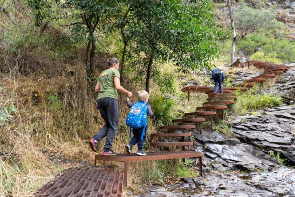 Mackenzie Falls in the Grampians; they're truly spectacular