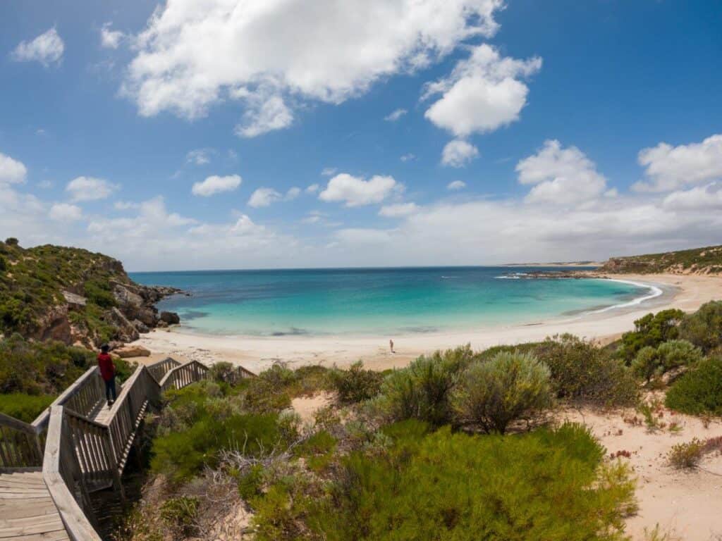Yorke Peninsula vs Eyre Peninsula; both amazing, but which wins?
