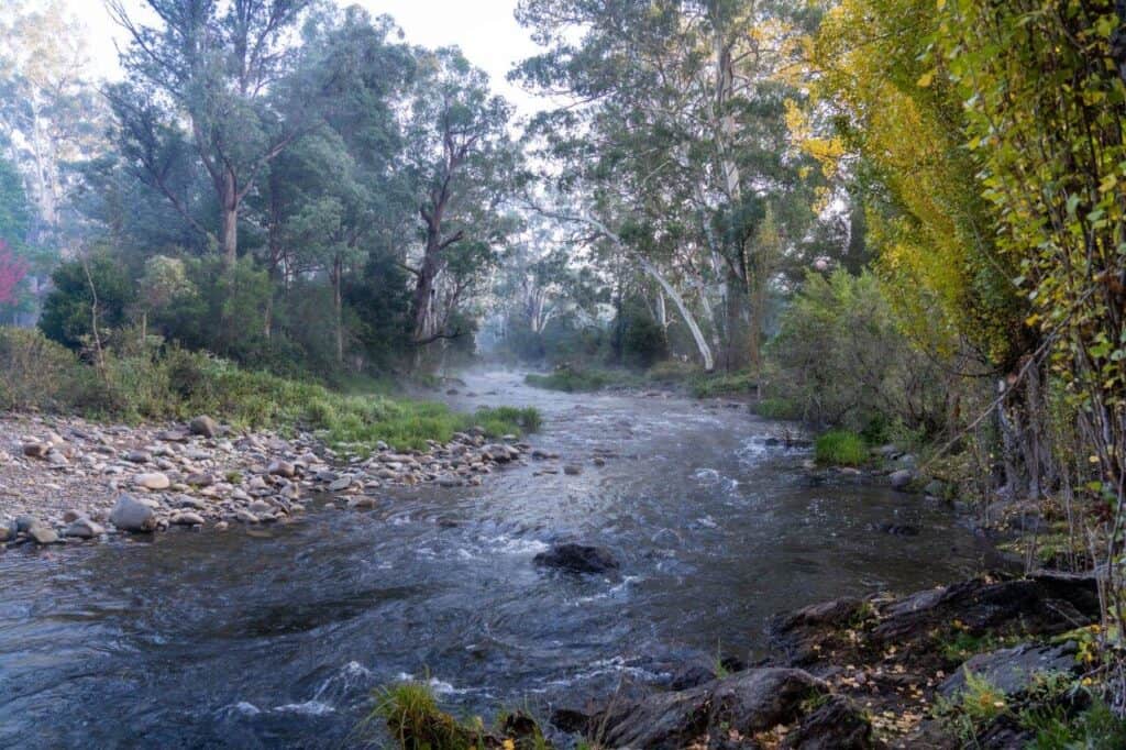 Frys Flat Campground; our favourite camp site in the High Country