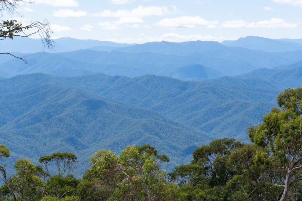 Mt Terrible 4WD Tracks; great drives with an even better view