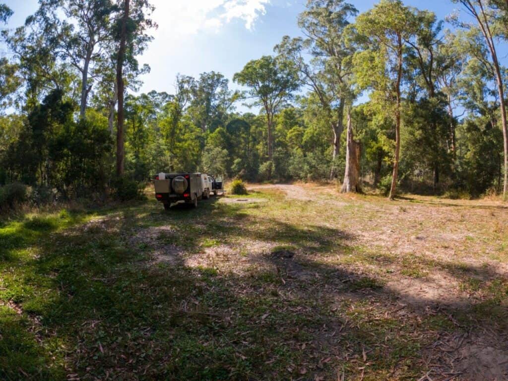Big River State Forest Camping; pristine creek side camps