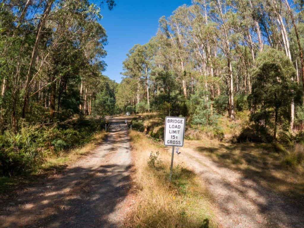 Jack Scotts Campground; great free camping near Woods Point