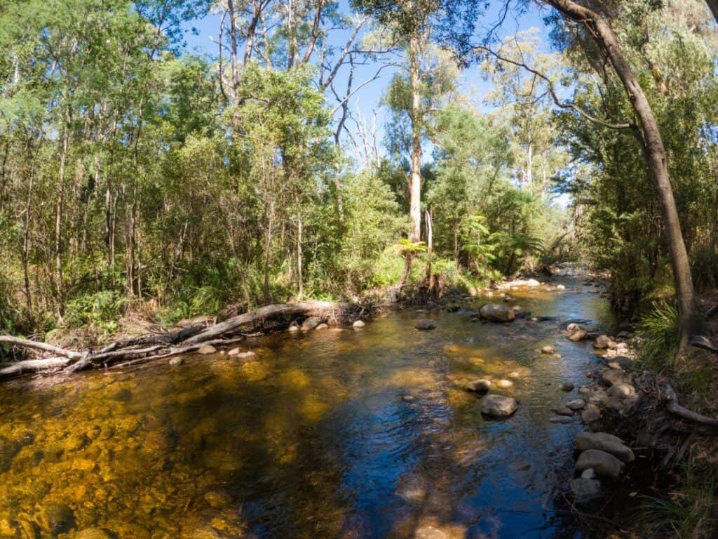 Cooks Mill Campground; great camping in Cathedral Ranges