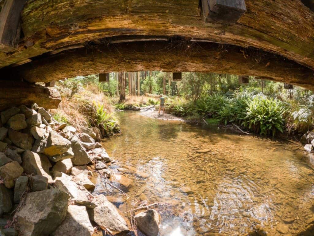 16 of the Best Camping in Victoria options