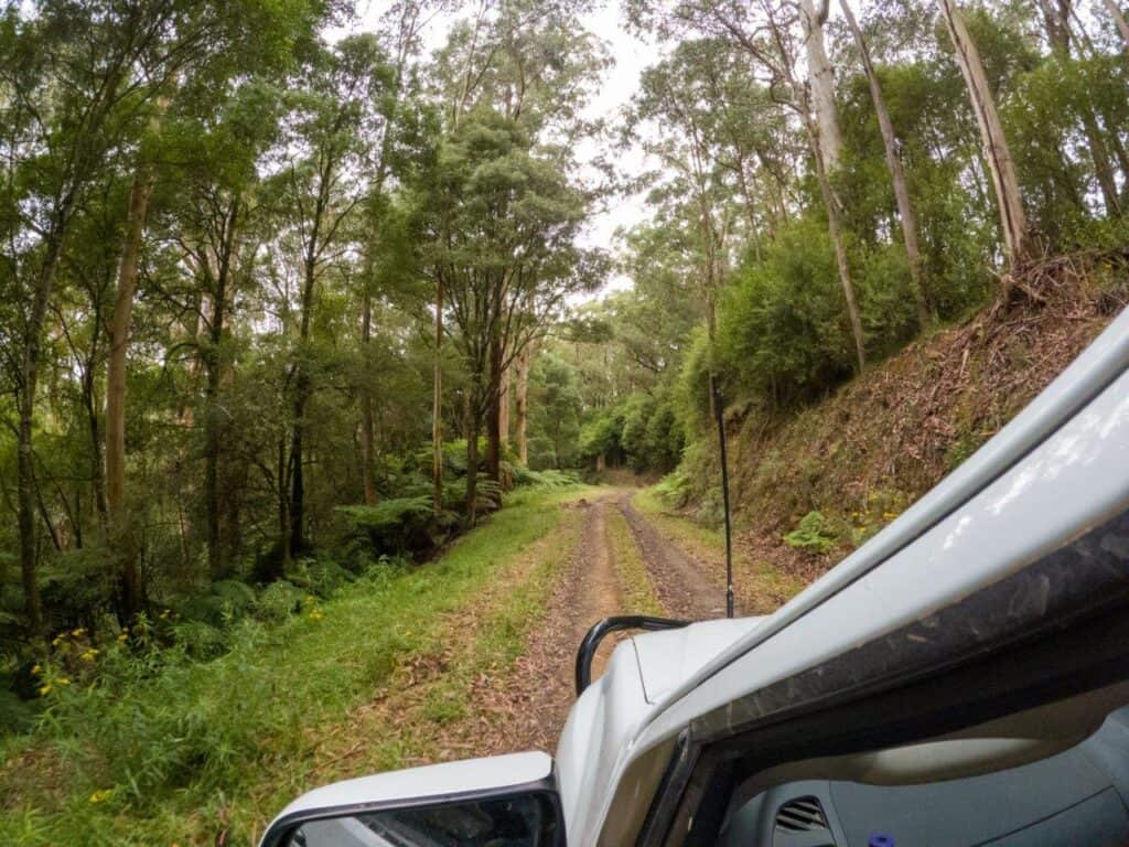 Jamieson Track; a stunning Great Ocean Road 4WD Track
