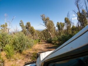 The Victorian High Country; paradise beyond words