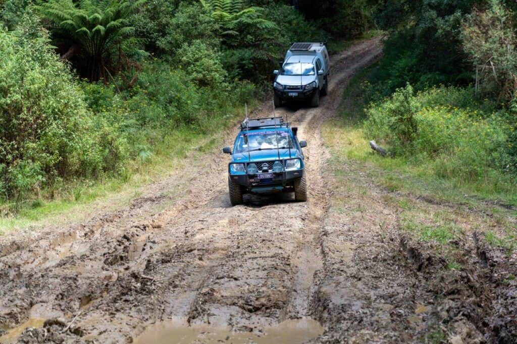Halls Ridge Road 4WD track; mud for days