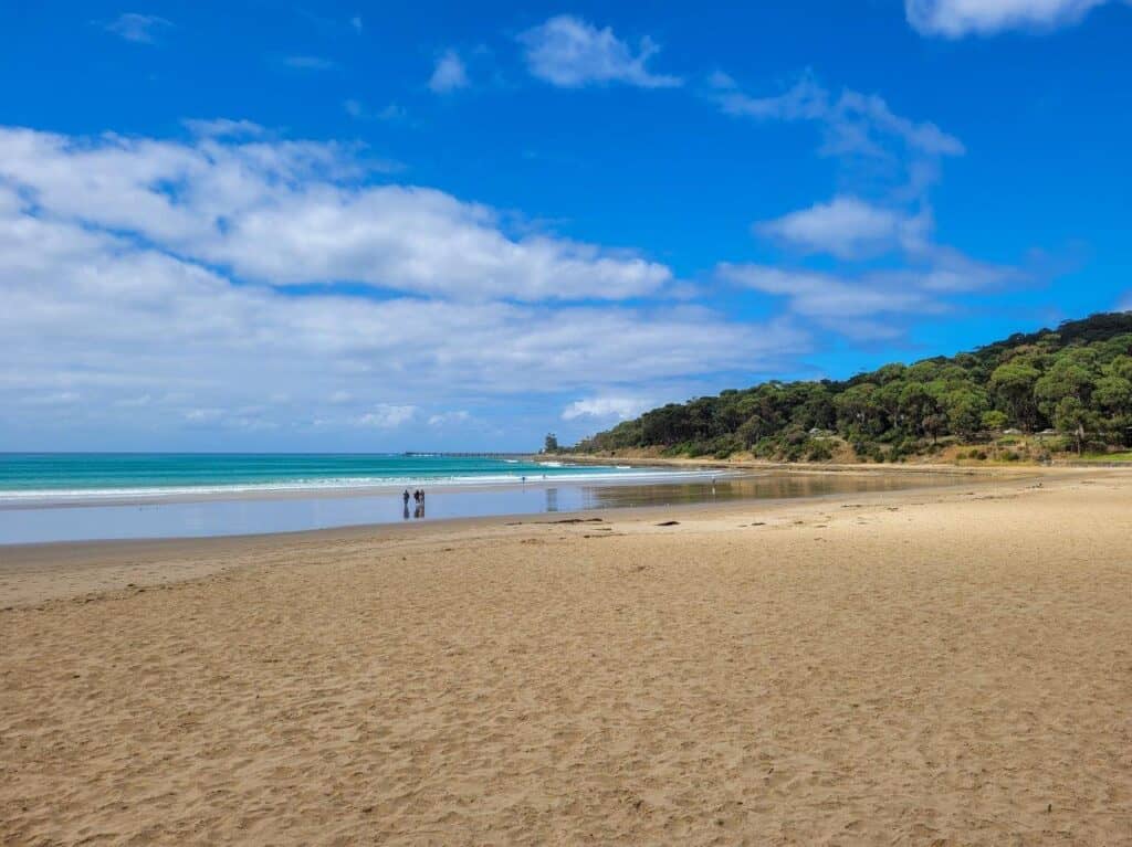 Erskine Falls; a big, beautiful single drop waterfall in Victoria