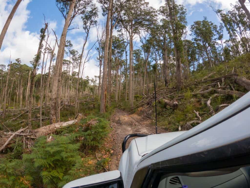 Lerderderg and Blackwood 4WD Tracks; so many options!