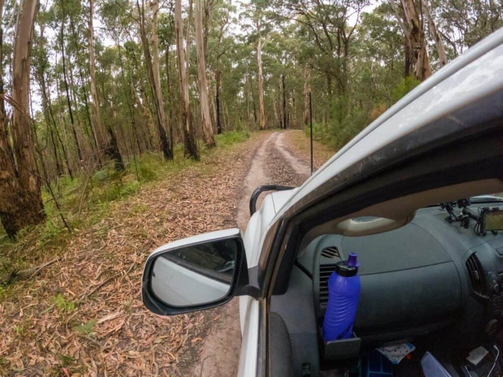 Anglesea 4WD Tracks; 4WDing on the Great Ocean Road