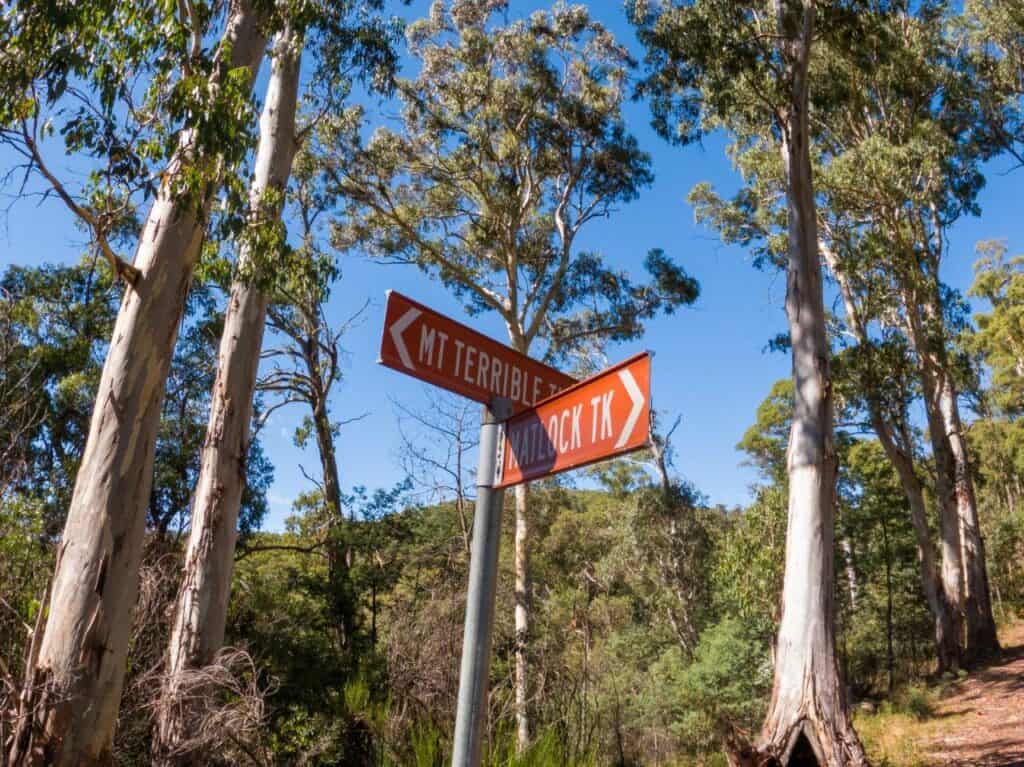 Mt Terrible 4WD Tracks; great drives with an even better view