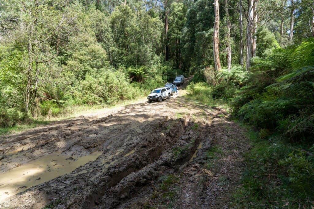 Beauchamp Falls Campground; amazing, free camping