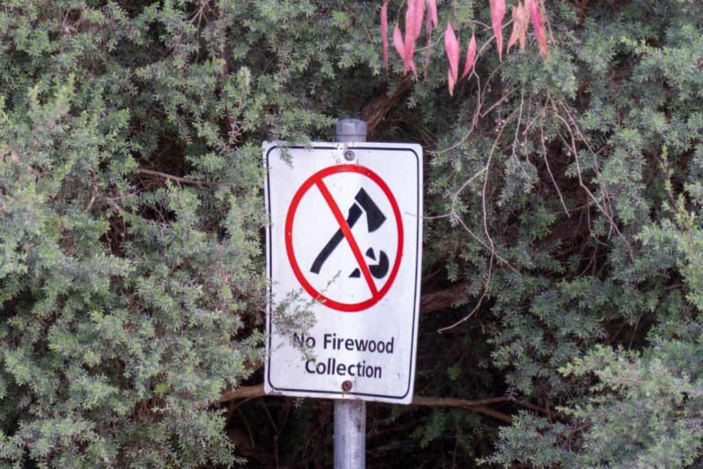 How to collect camping firewood without being a muppet