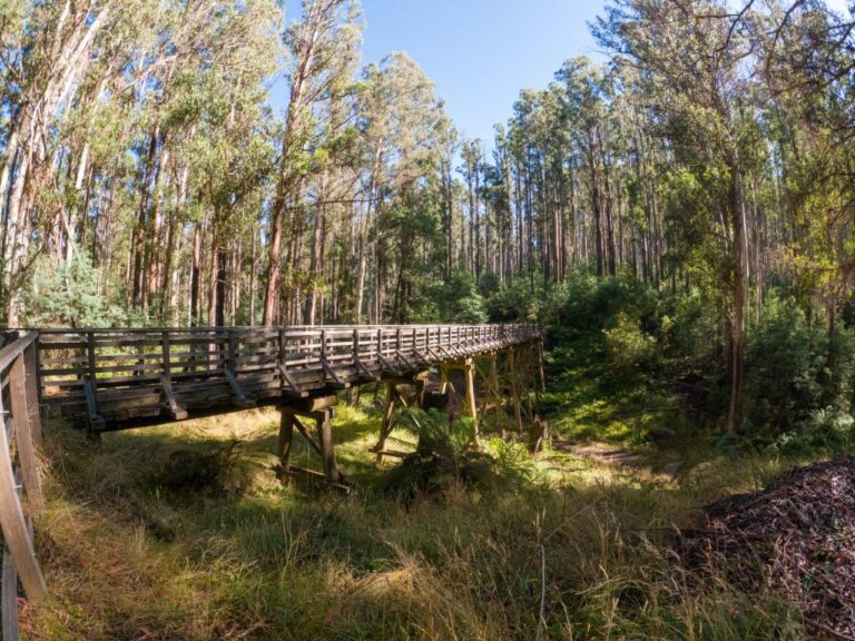 Rubicon and Cathedral Range 4WD tracks; a great long cut