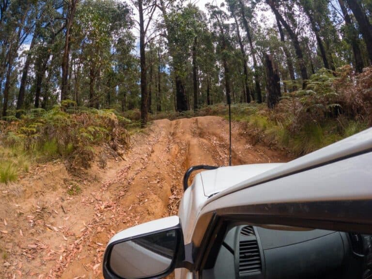 Melbourne 4WD Tracks, from mild to wild