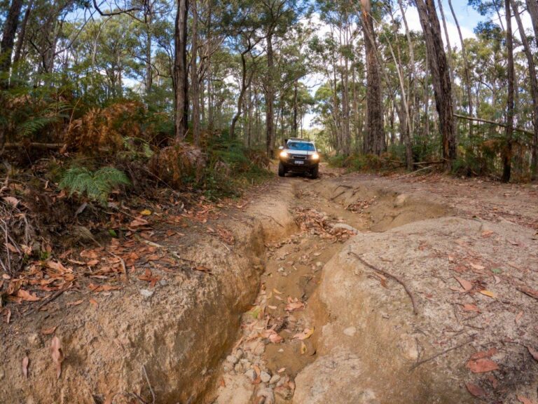 4WD tracks in Victoria
