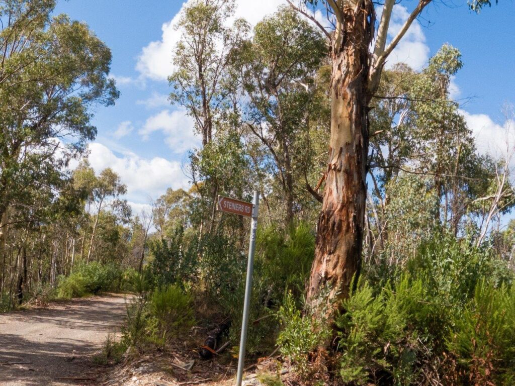 Howqua 4WD tracks; amazing Victorian High Country adventure
