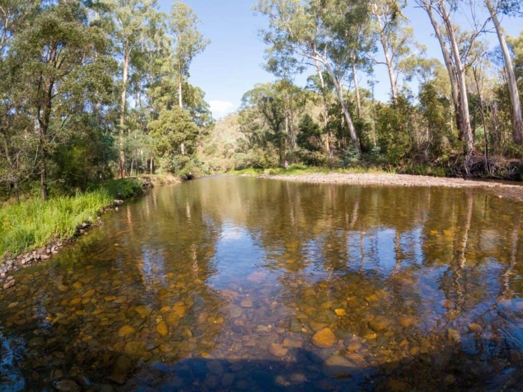 Melbourne 4WD Tracks, from mild to wild