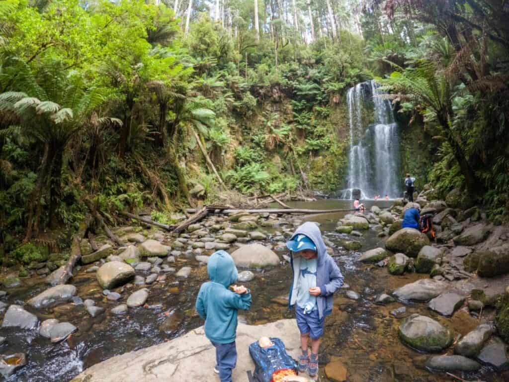 Beauchamp Falls; a stunning Great Otways National Park walk
