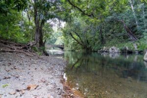 The Bloomfield Track; scenery and adventure beyond belief