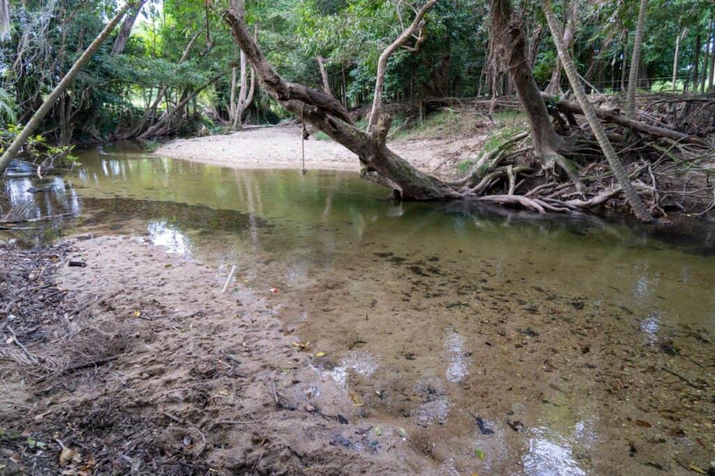 Miallo Creek; unbelievable Queensland Camping