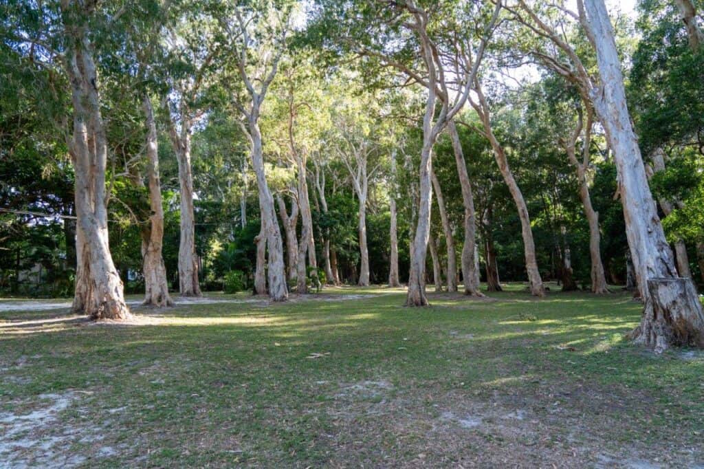 Peninsula Caravan Park in Cooktown; good value, and lots of room
