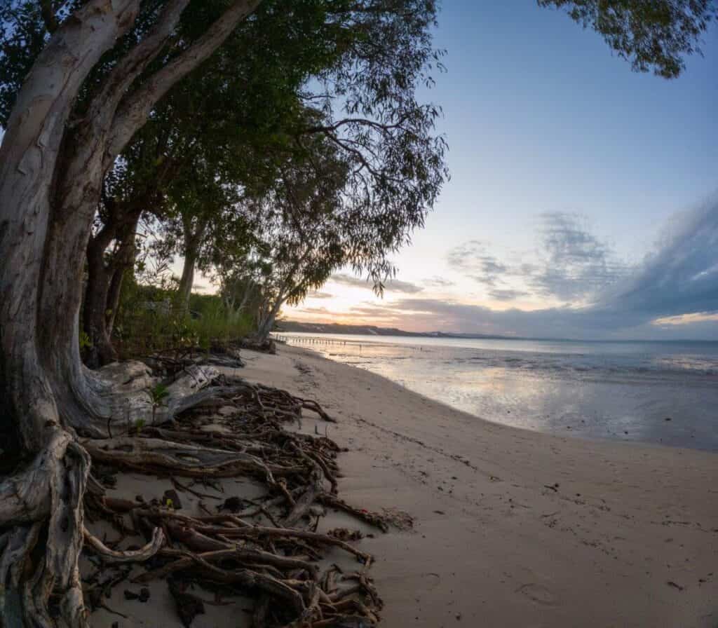 Elim Beach; unbelievable, protected beach camping near Cooktown
