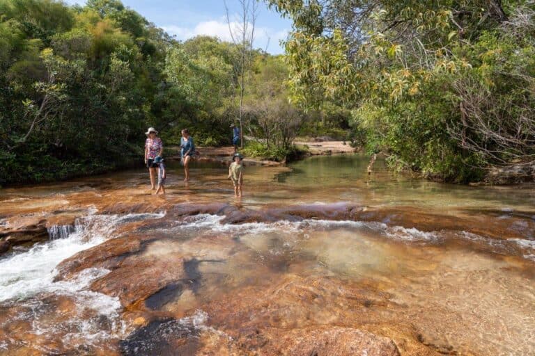 Old Telegraph Track; The ultimate Cape York Adventure