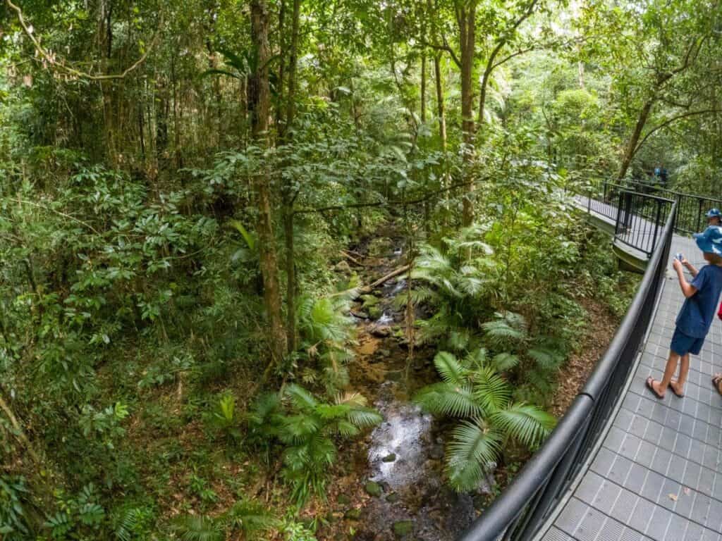 The Bloomfield Track; scenery and adventure beyond belief