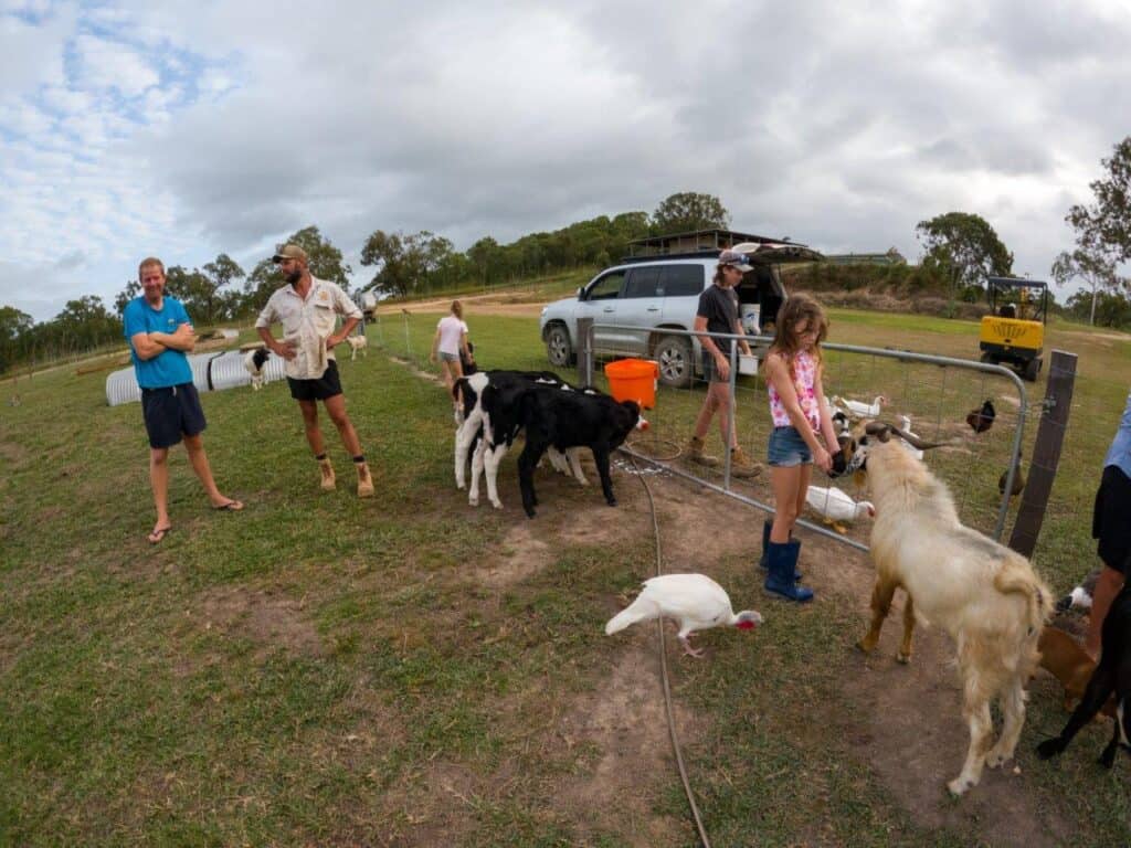 Cooktown Campout; brilliant, family friendly camping