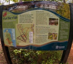 Fruit Bat Falls; a must see Cape York attraction
