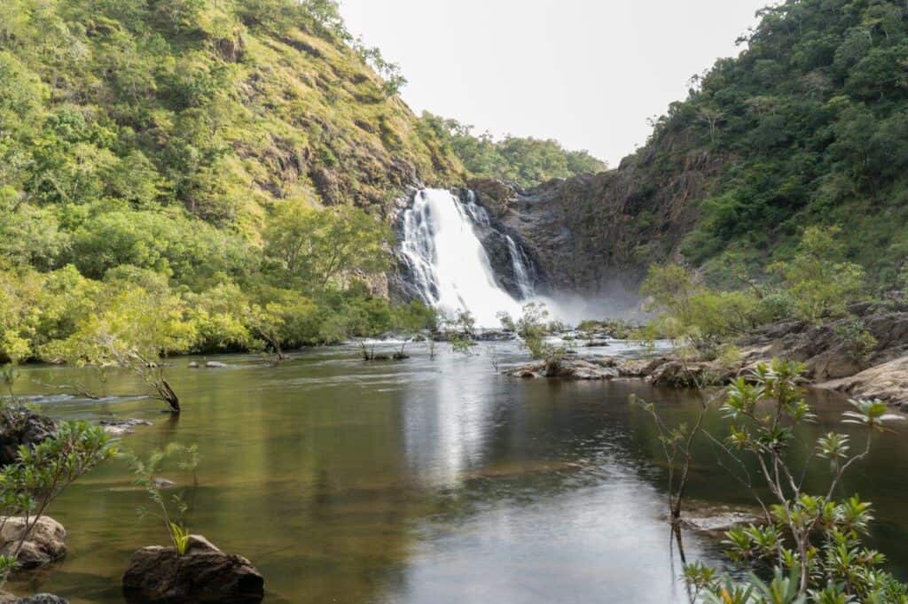 Bloomfield Cabins and Camping; stunning Daintree Camping