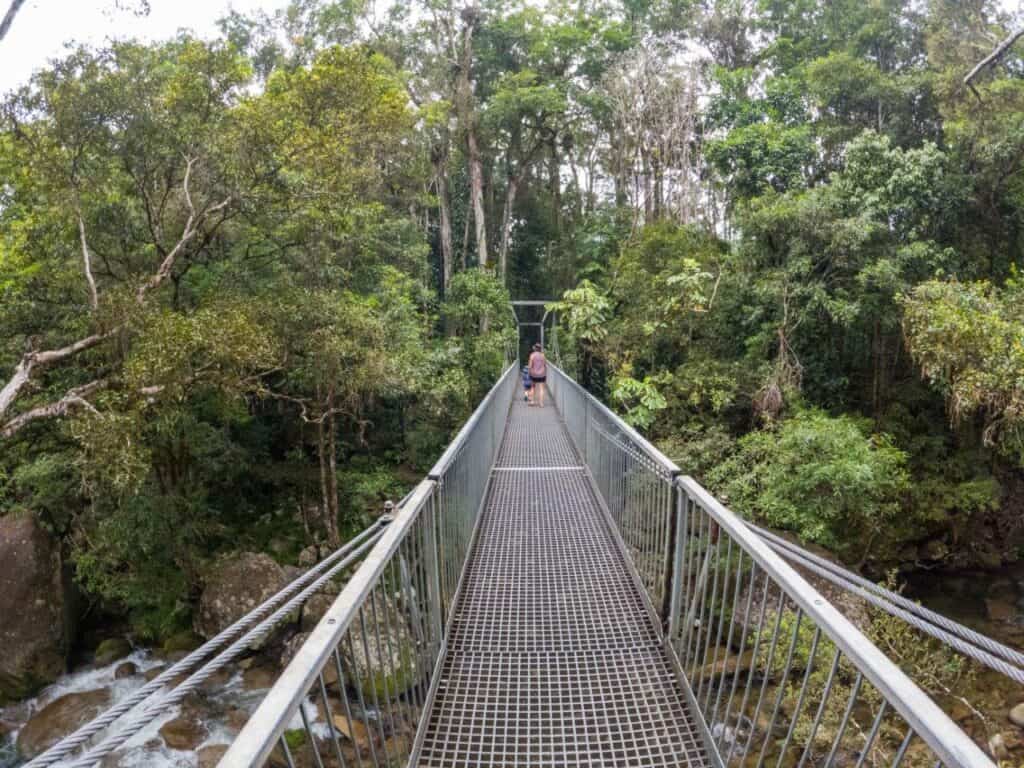 Mossman Gorge; a beautiful but busy (and not free) day trip