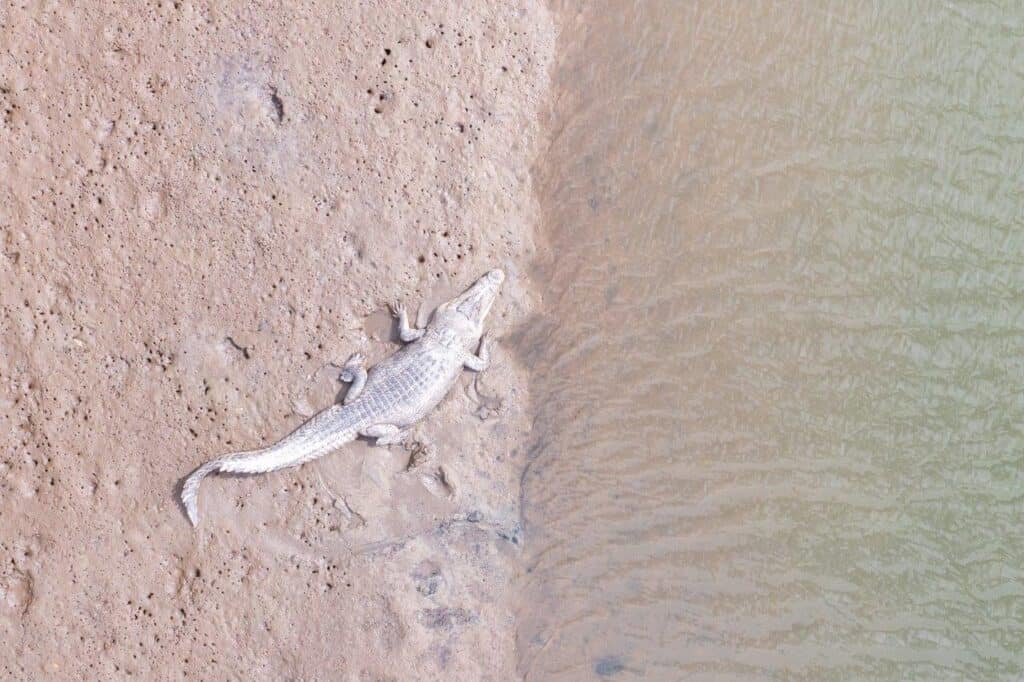 Notch Point; the ultimate QLD Free Camping
