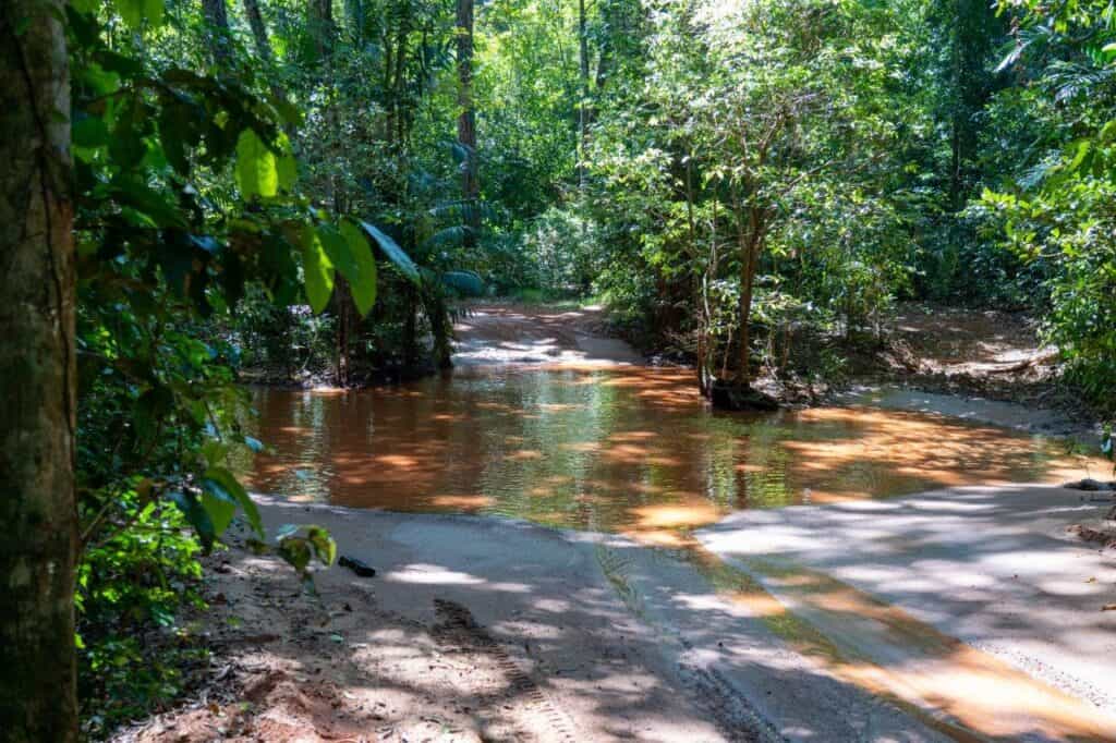 Cape York; the ultimate guide to a rugged and stunning place