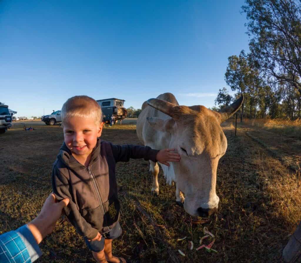 Ringers Rest RV Park; brilliant camping near Mareeba