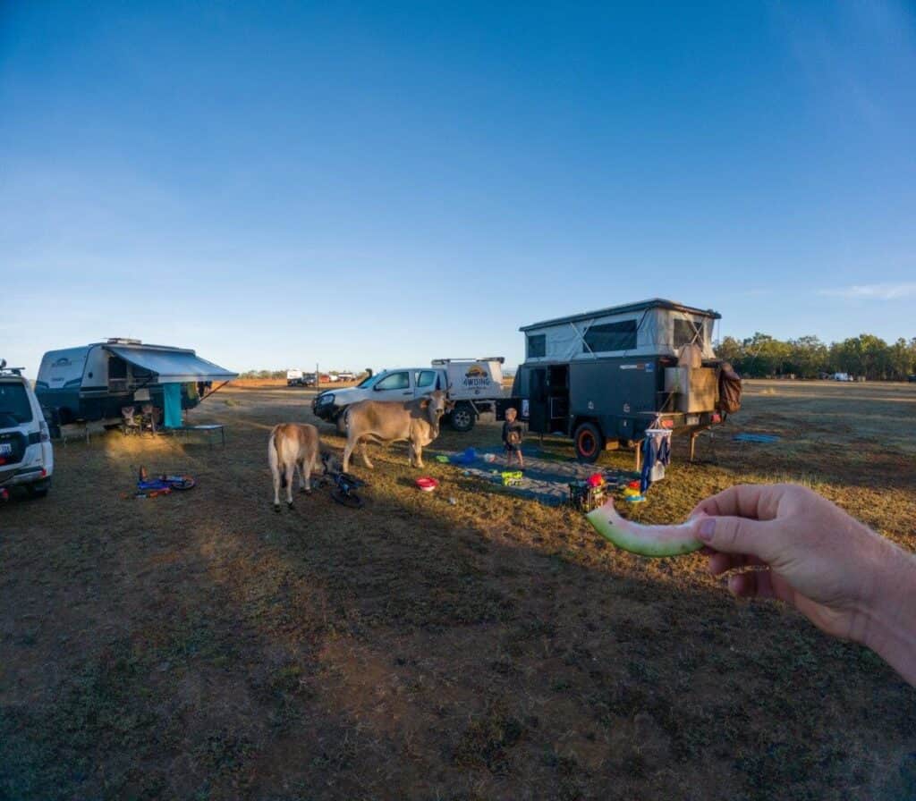 Ringers Rest RV Park; brilliant camping near Mareeba