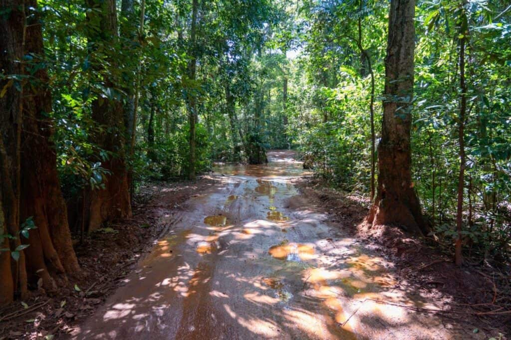Cape York; the ultimate guide to a rugged and stunning place