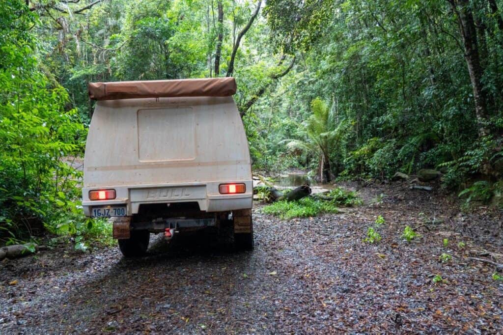 Mt Lewis National Park; incredible rainforest by 4WD