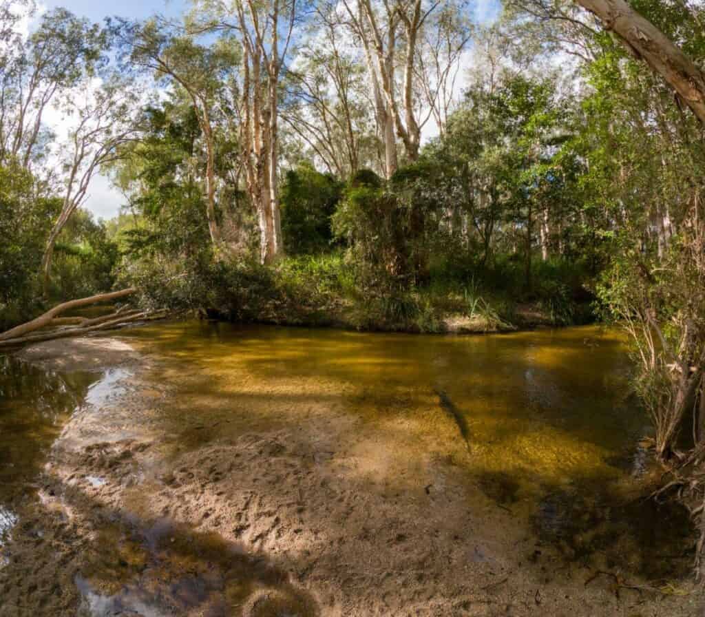 Queensland Camp Sites; where's the best camping?