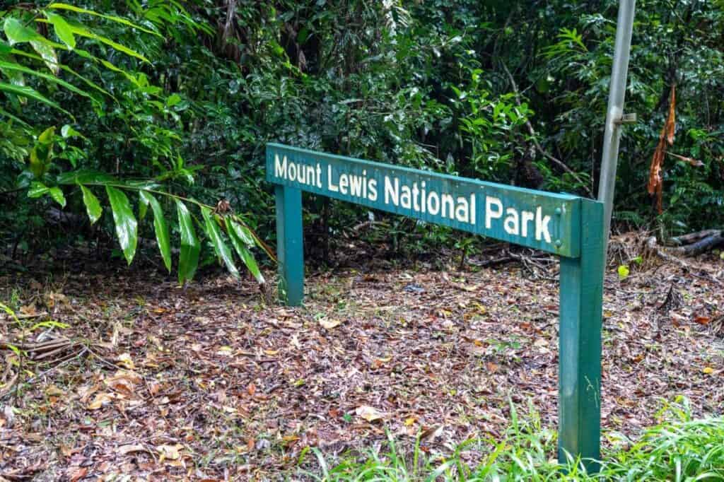 Mt Lewis National Park; incredible rainforest by 4WD