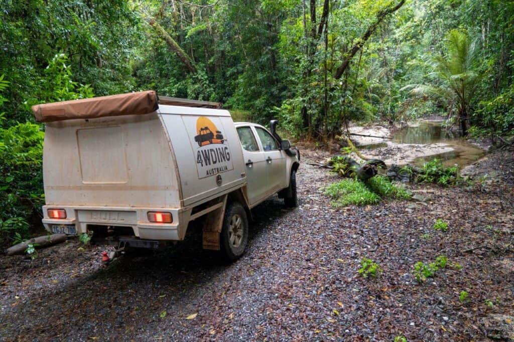 Mt Lewis National Park; incredible rainforest by 4WD