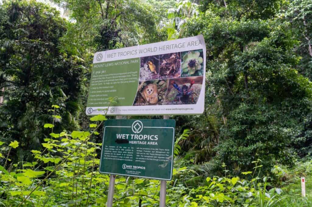 Mt Lewis National Park; incredible rainforest by 4WD