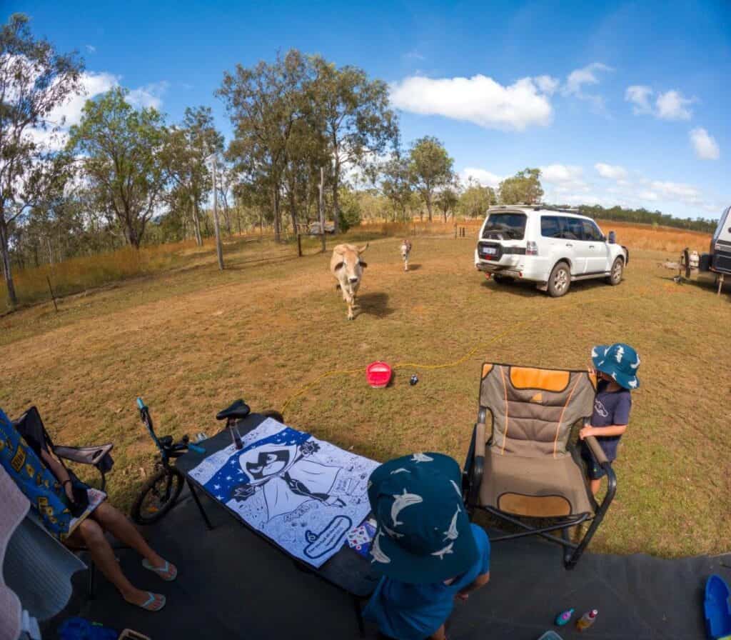 Ringers Rest RV Park; brilliant camping near Mareeba